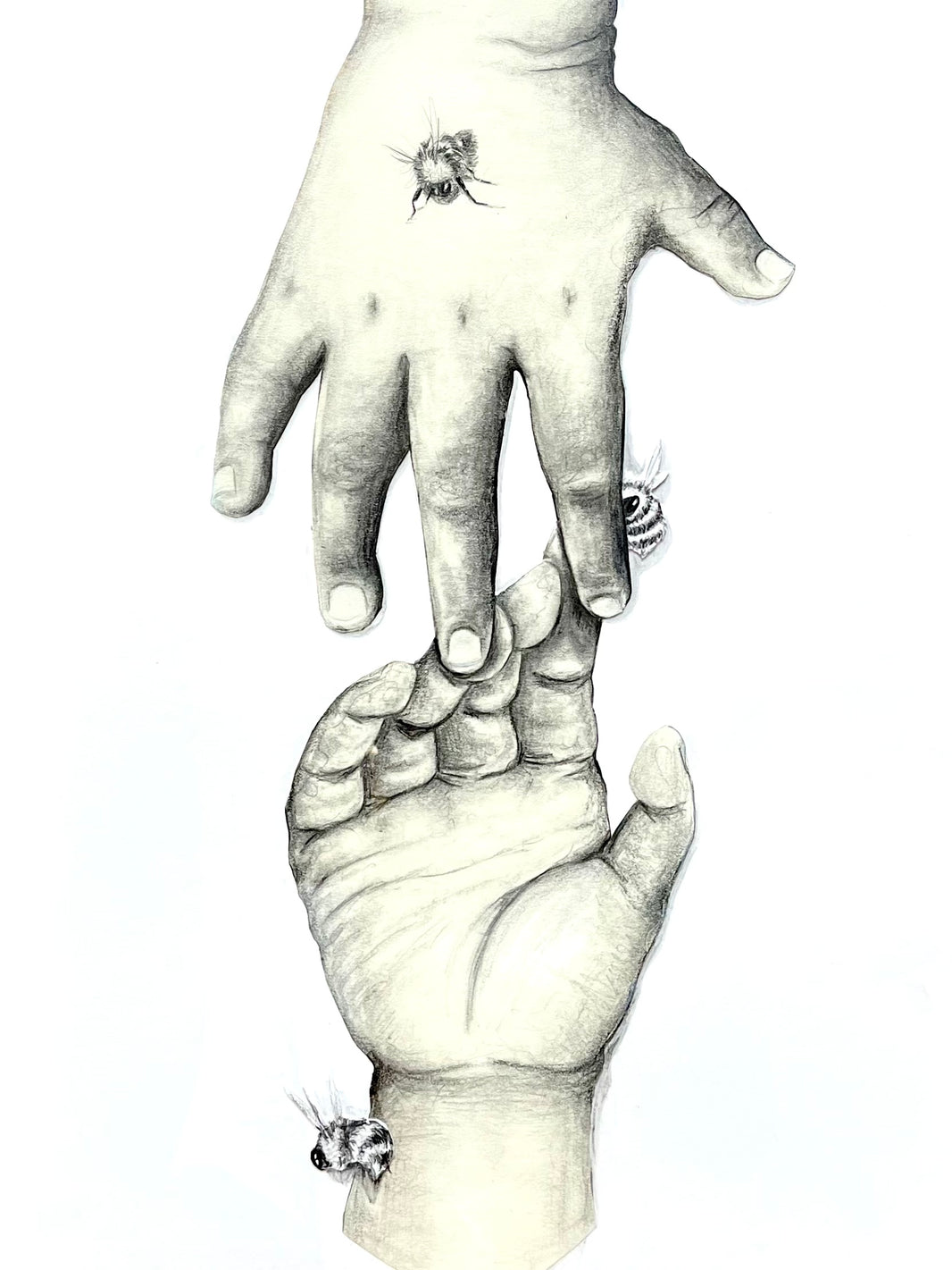 Longview Gallery Shop